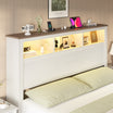 Amerlife Larkin Storage Bed Frame Farmhouse LED Wood Platform Bed No ...